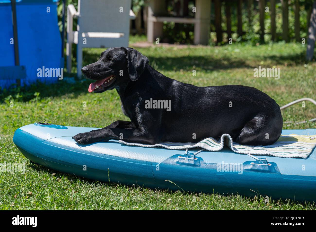 Sup learning hi-res stock photography and images - Alamy