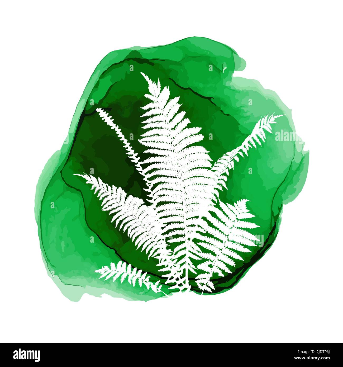 Imprint of a green fern leaves of a tree. Abstraction protection of ...