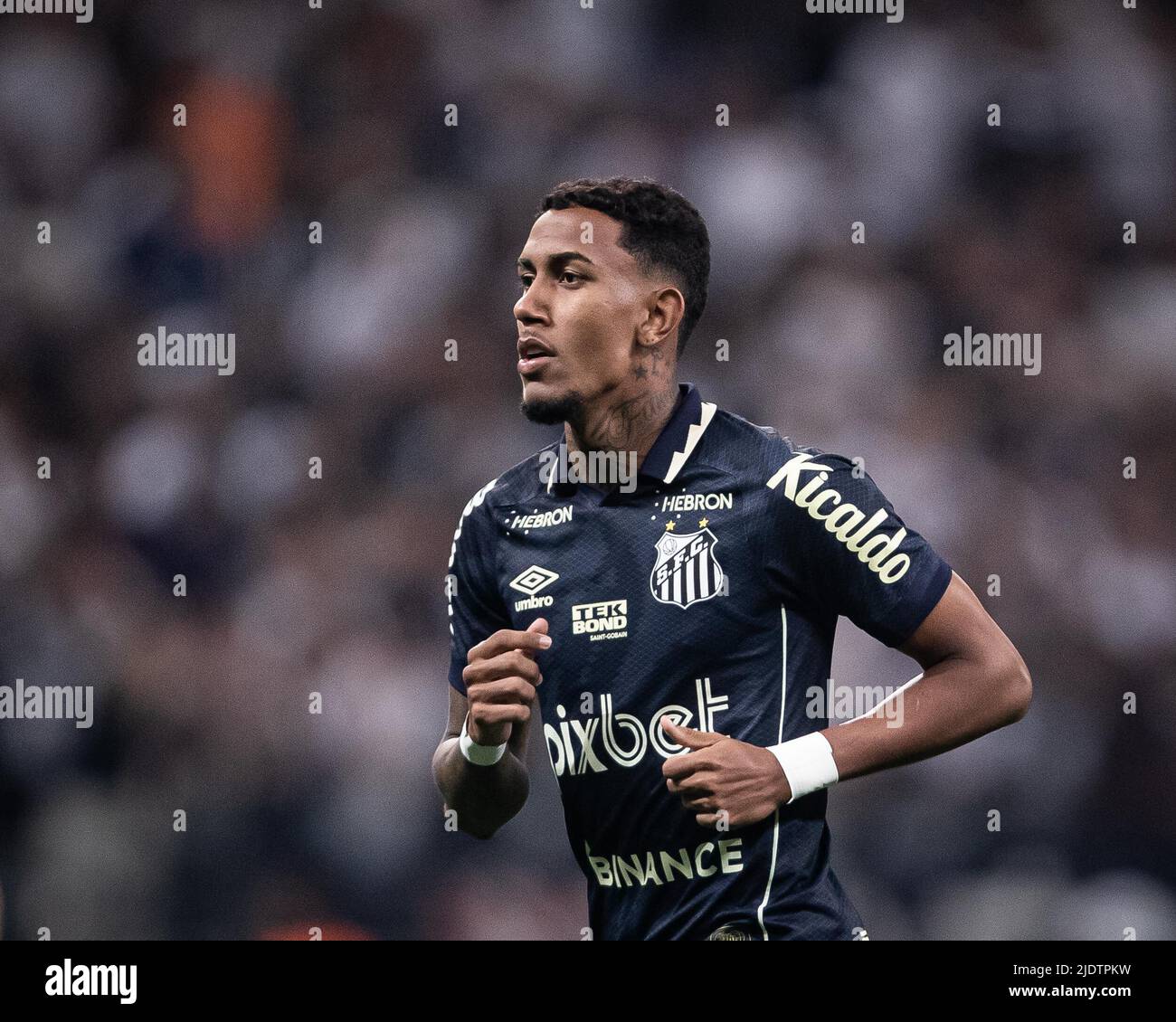 Rwan hi-res stock photography and images - Alamy