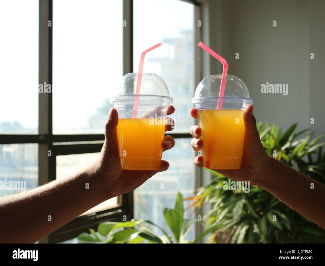 Friends toasting healthy juice drinks together in office Summer ...
