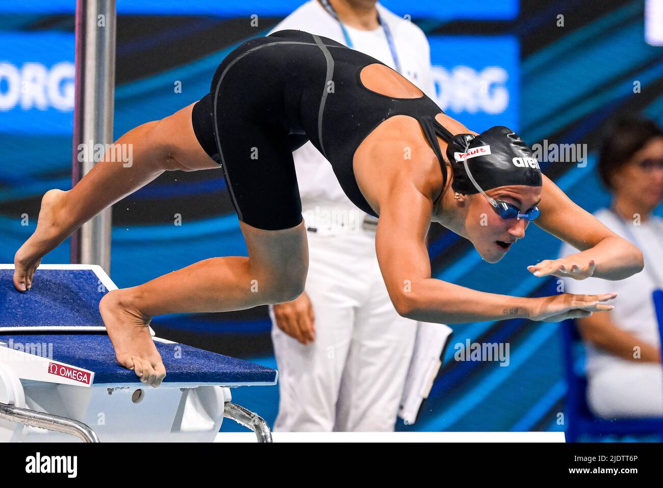 Quadarella simona hi-res stock photography and images - Alamy