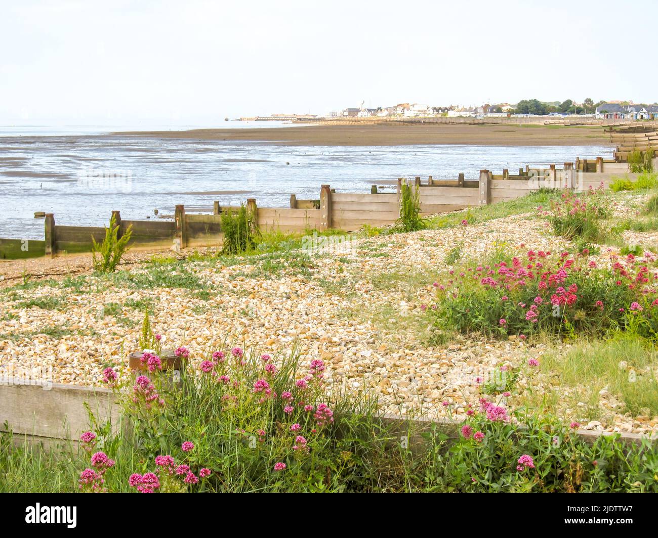 Shingles beach hi-res stock photography and images - Alamy