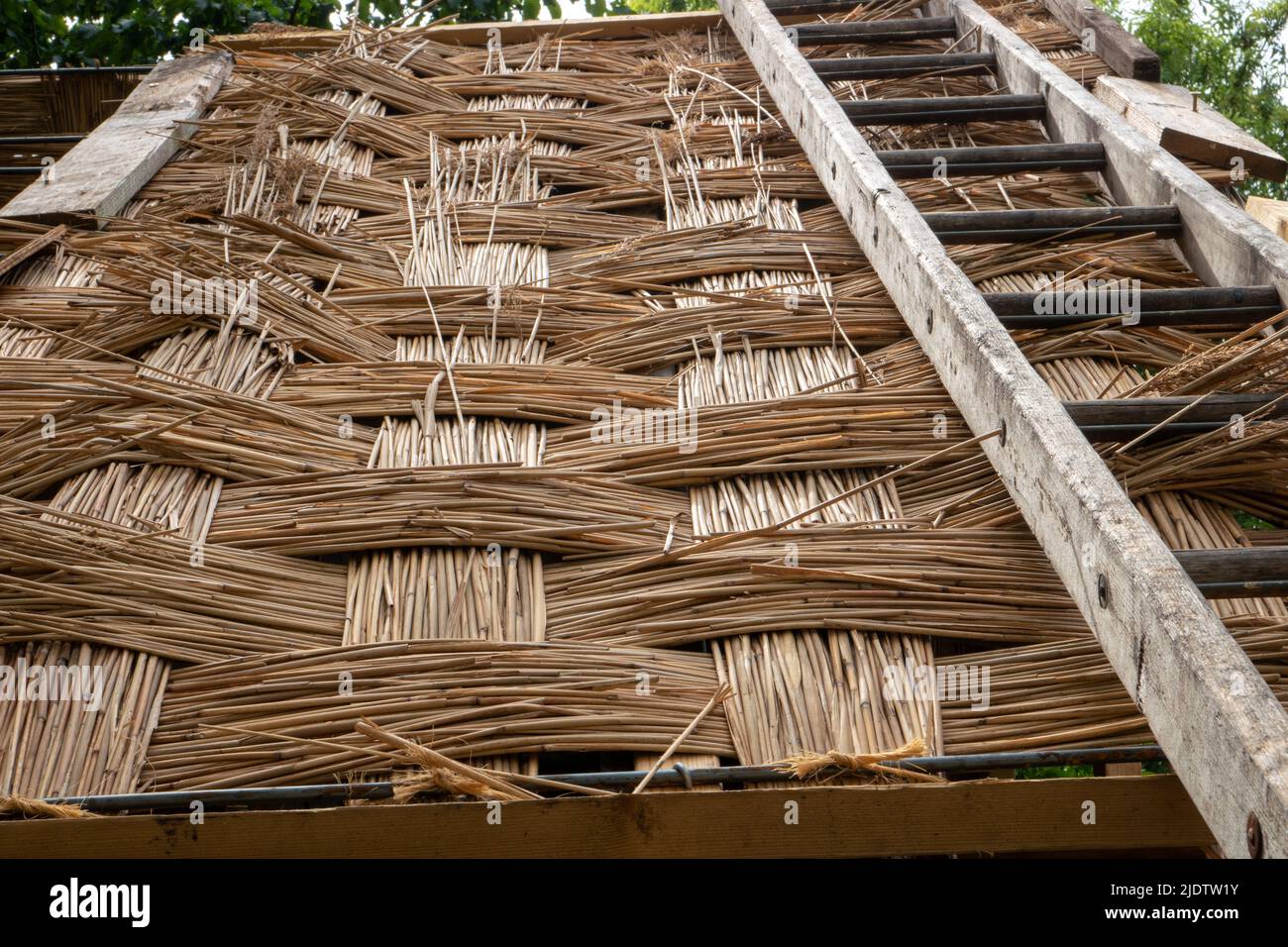 Water reed roof hi-res stock photography and images - Alamy