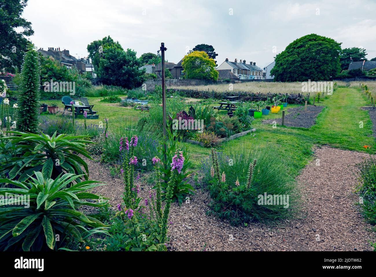 View of the Captains Garden, Next to Deal Castle, Deal, Kent Stock ...