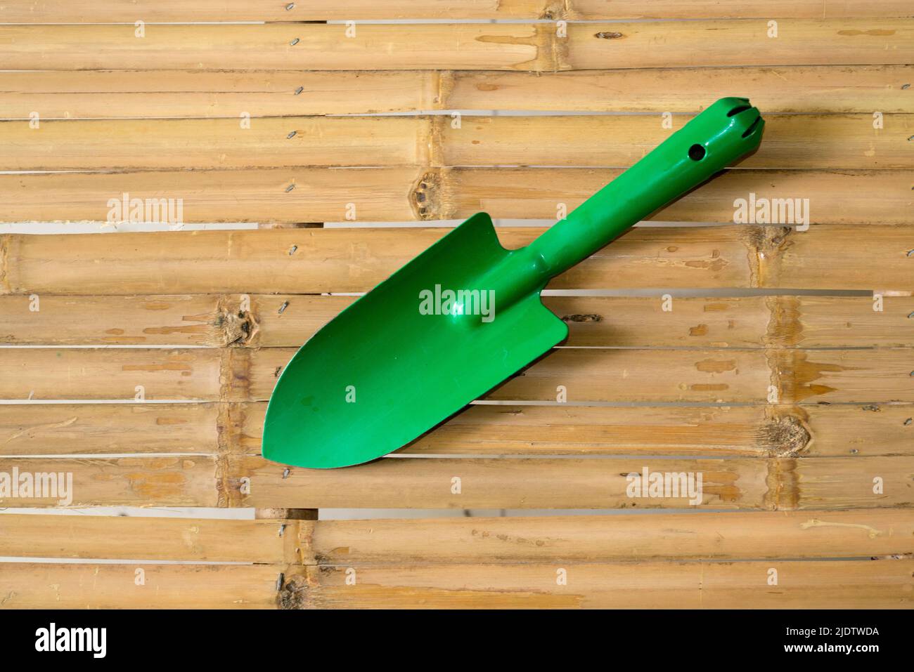 Green garden trowel Stock Photo - Alamy