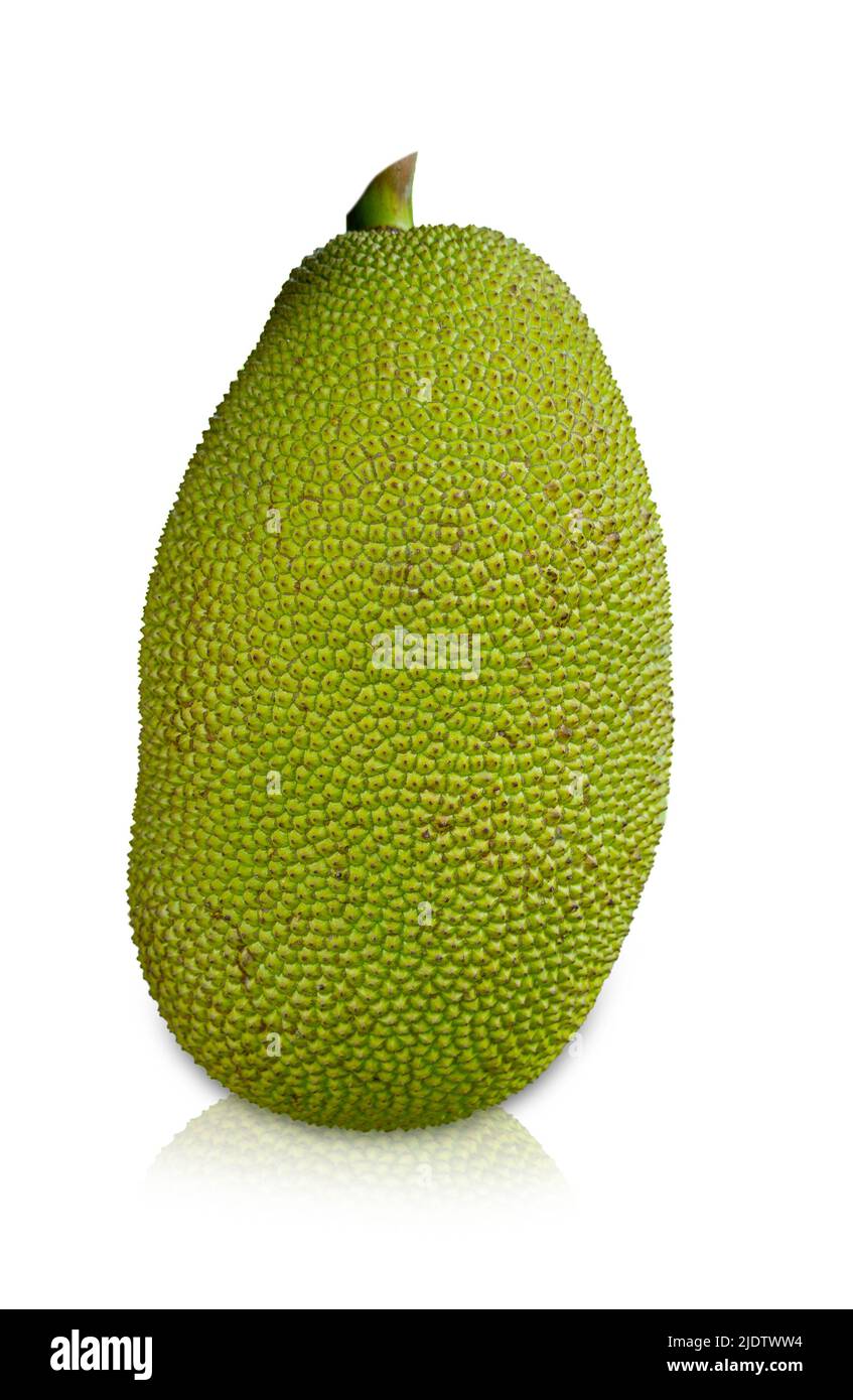 Country fruit garden Cut Out Stock Images & Pictures - Alamy