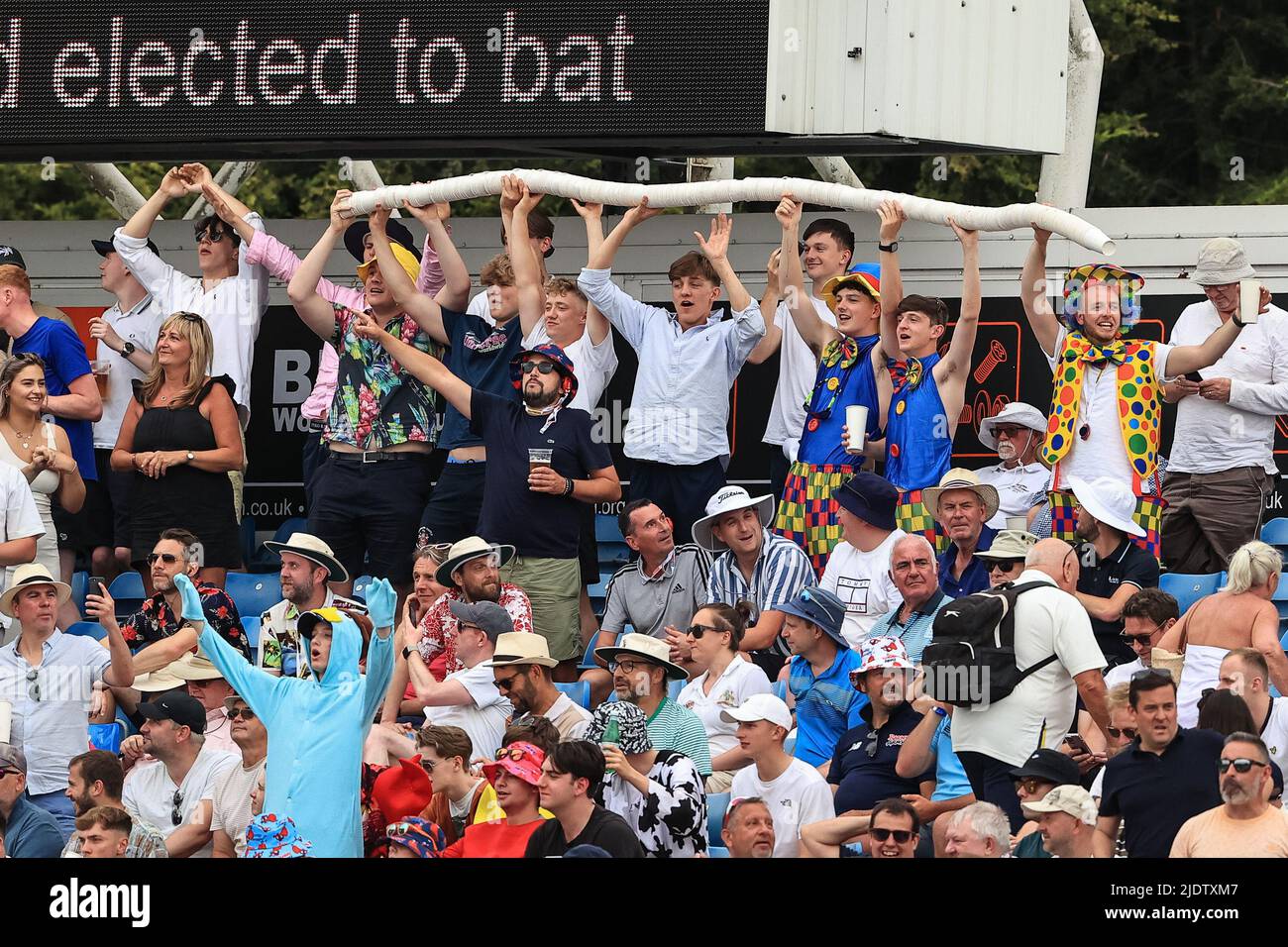 Cricket crowd beer hi-res stock photography and images - Alamy