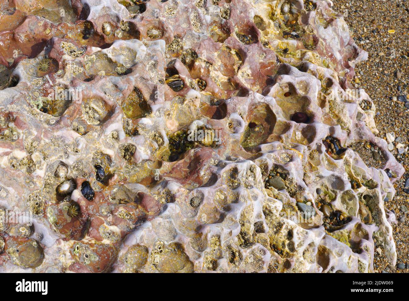 Porous rock hi-res stock photography and images - Alamy