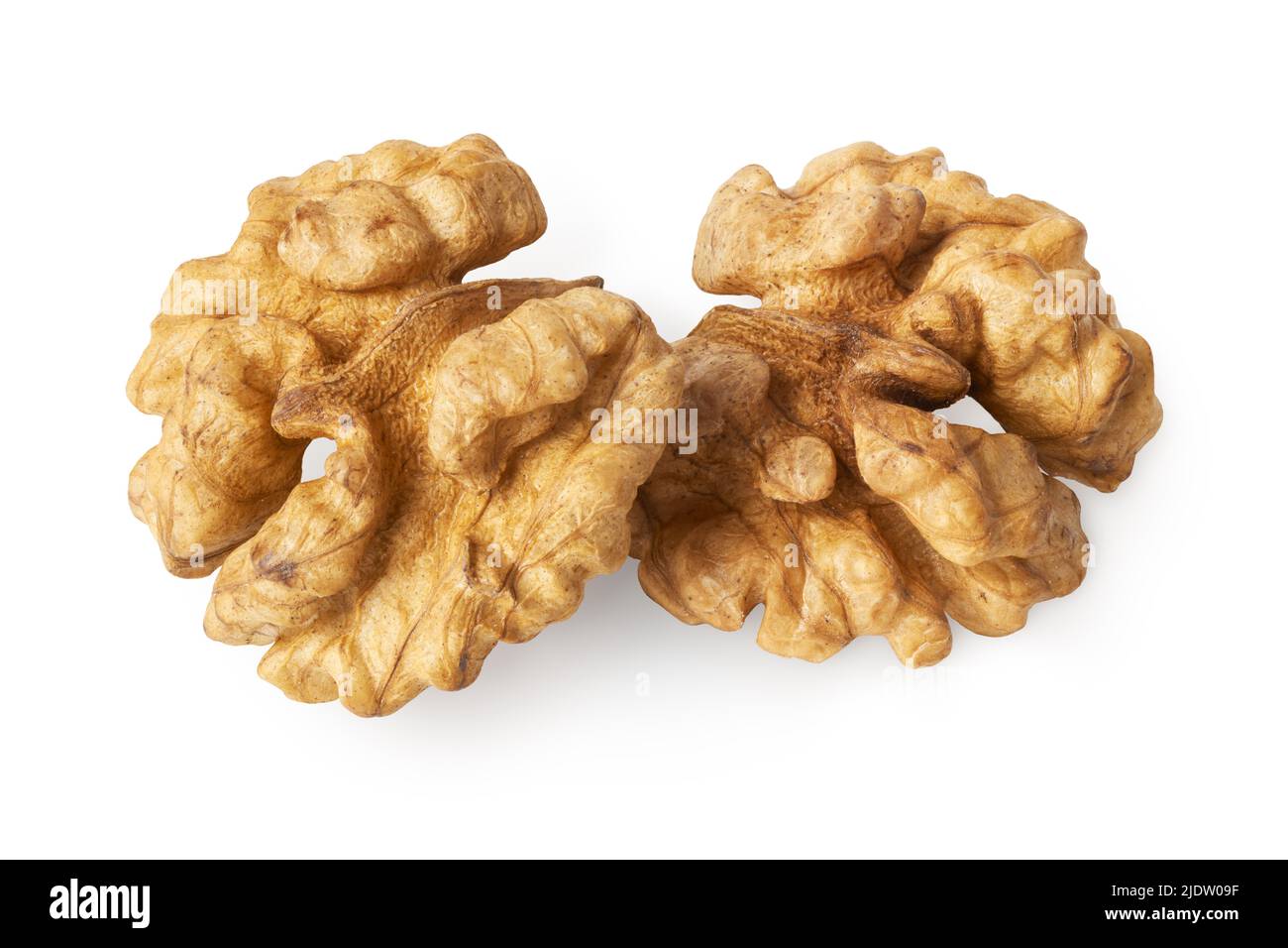 Group of fresh peeled walnuts, isolated on white background Stock Photo ...