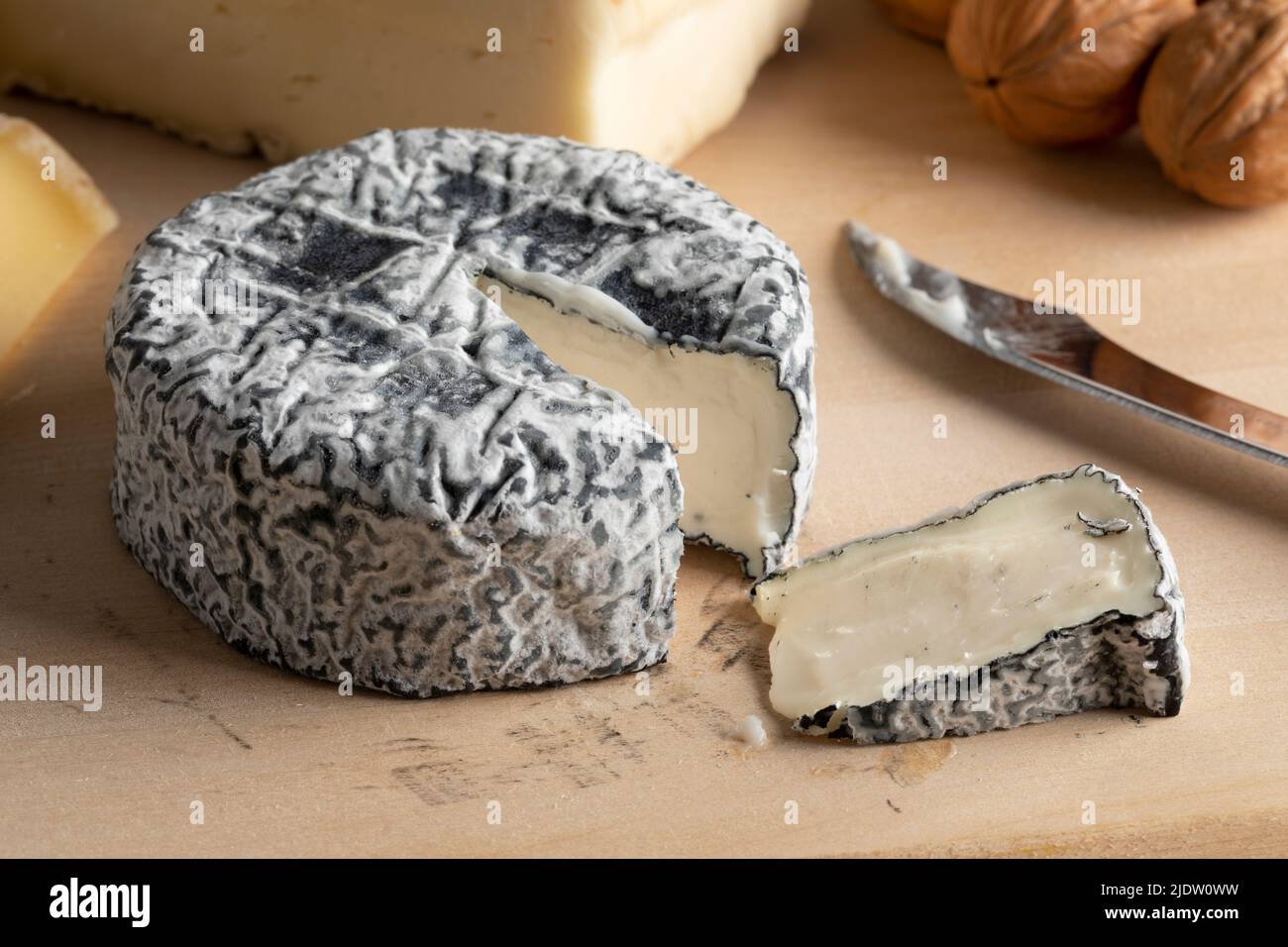Chevre Anjou, goat cheese, with a black ash mold and a piece close up ...