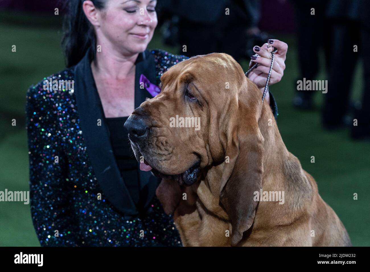Lyndhurst mansion garden hi-res stock photography and images - Alamy