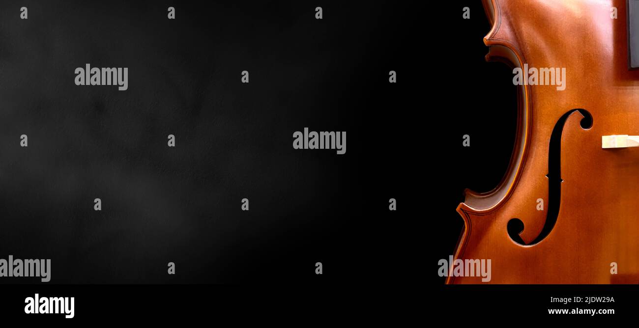 Violin on a black background close up Ancient stringed instrument ...