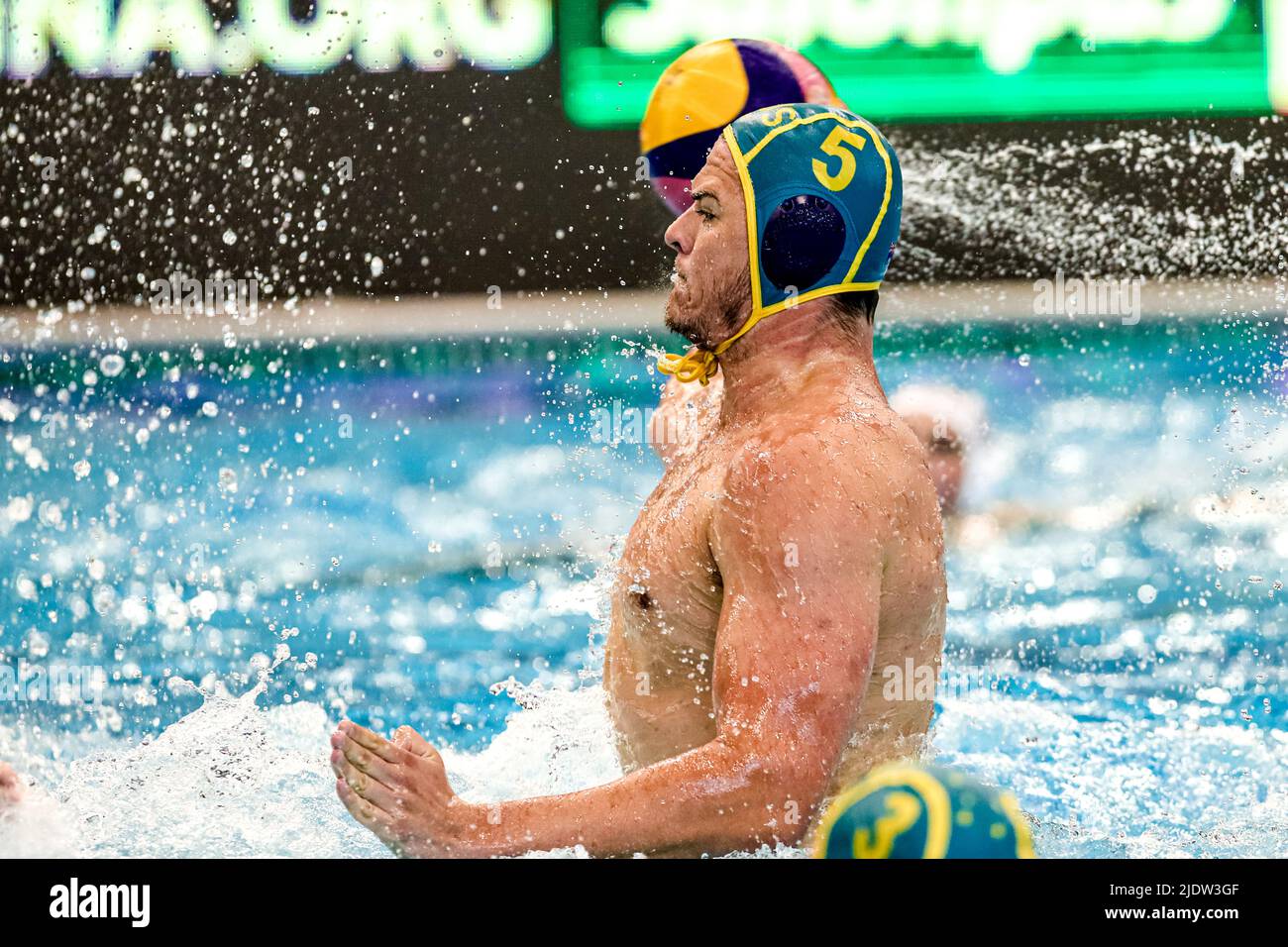 Szeged tiszavirag pool hi-res stock photography and images - Alamy