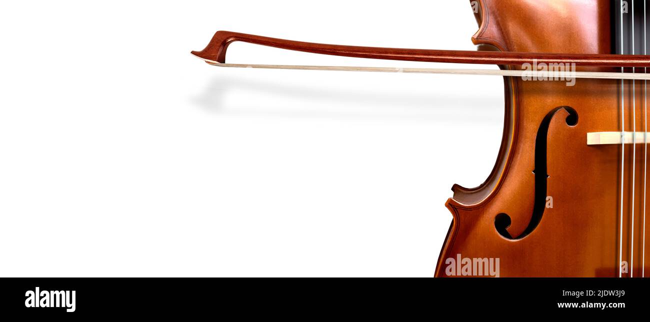 Violin on a white background close up Ancient stringed instrument ...