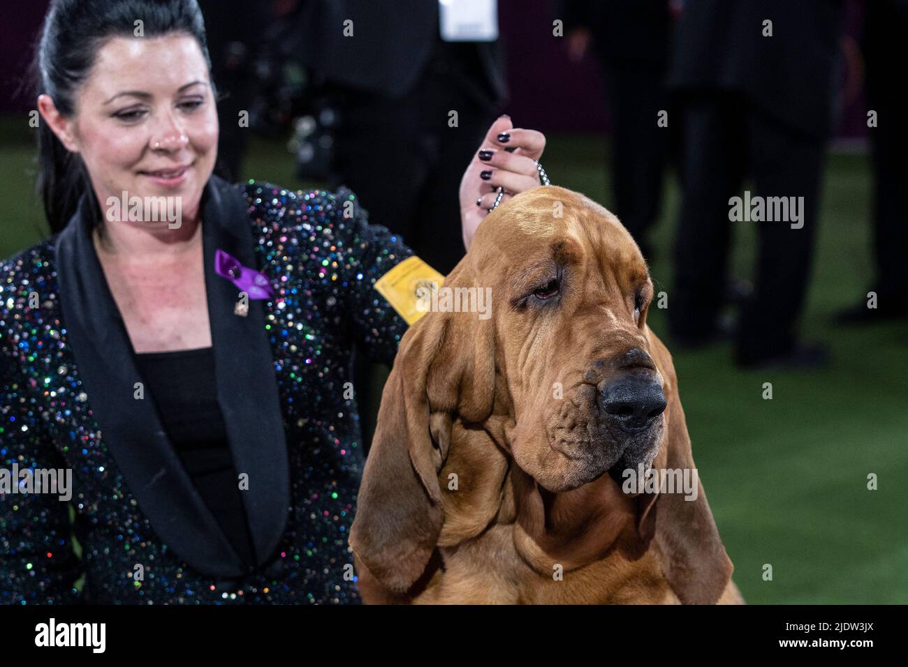 Lyndhurst mansion garden hi-res stock photography and images - Alamy