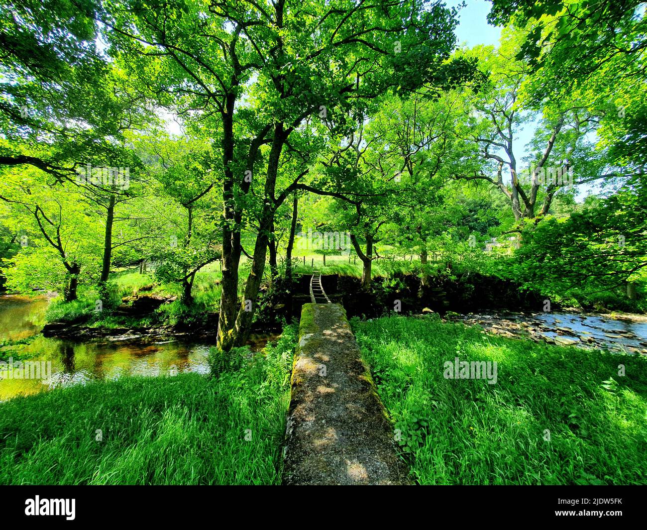 Glade valley hi-res stock photography and images - Alamy