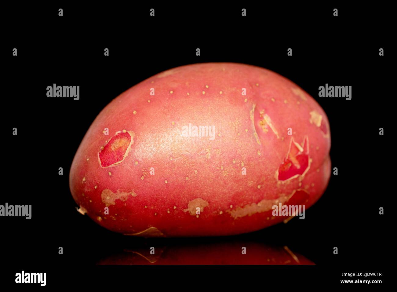 One unpeeled pink potato, close-up, isolated on a black background ...