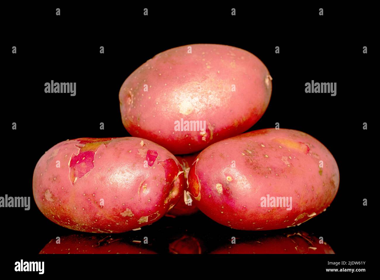 Three unpeeled pink potatoes, close-up, isolated on a black background ...
