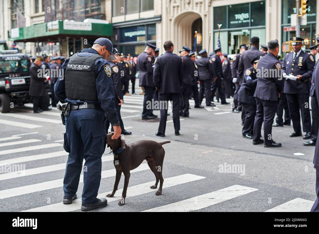 Nypd gang unit hi-res stock photography and images - Alamy