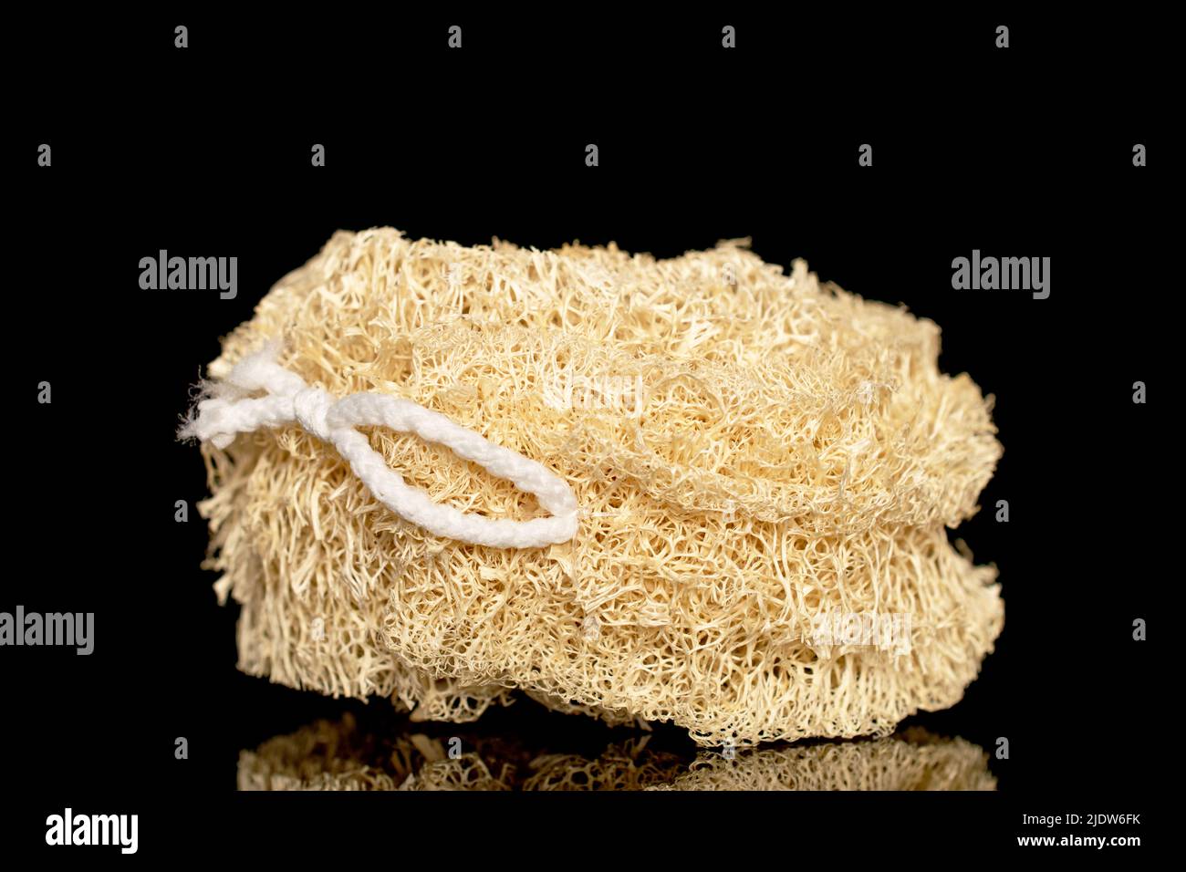 One loofah shower sponge, close-up, isolated on a black background ...