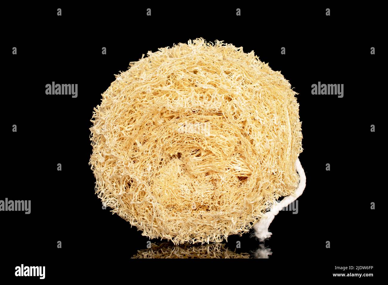 One loofah shower sponge, close-up, isolated on a black background ...