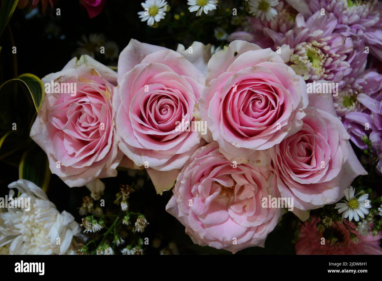photo of a bouquet of colorful roses Stock Photo - Alamy