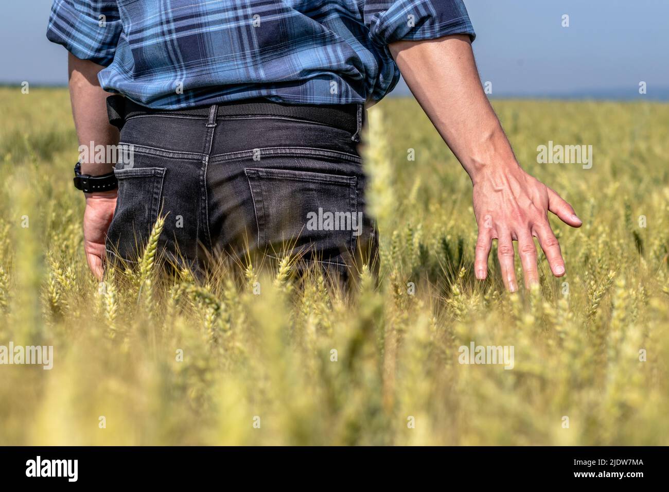 Close up farmers hand touching hi-res stock photography and images - Alamy