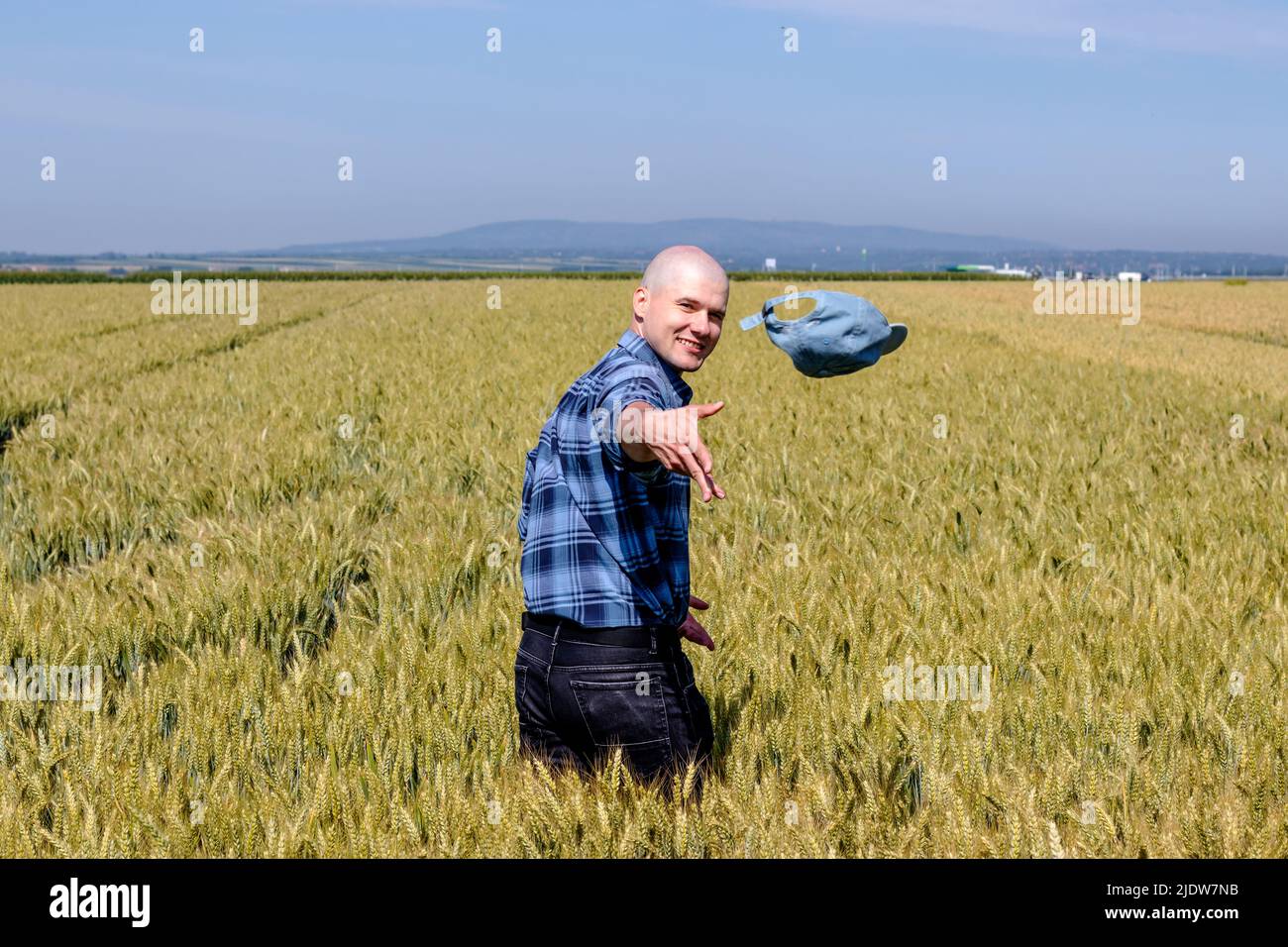 Harvest estimation hi-res stock photography and images - Alamy
