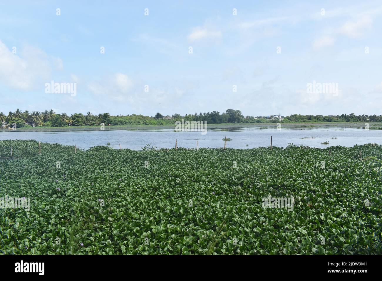A view of the Bolgoda Lake. The Bolgoda Lake or Bolgoda River is a ...