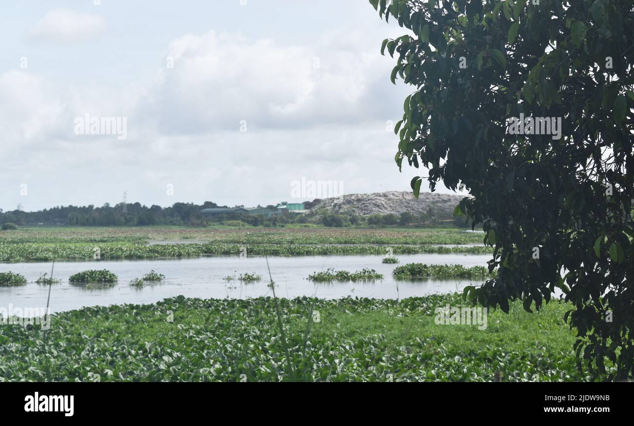 A view of the Bolgoda Lake. The Bolgoda Lake or Bolgoda River is a ...