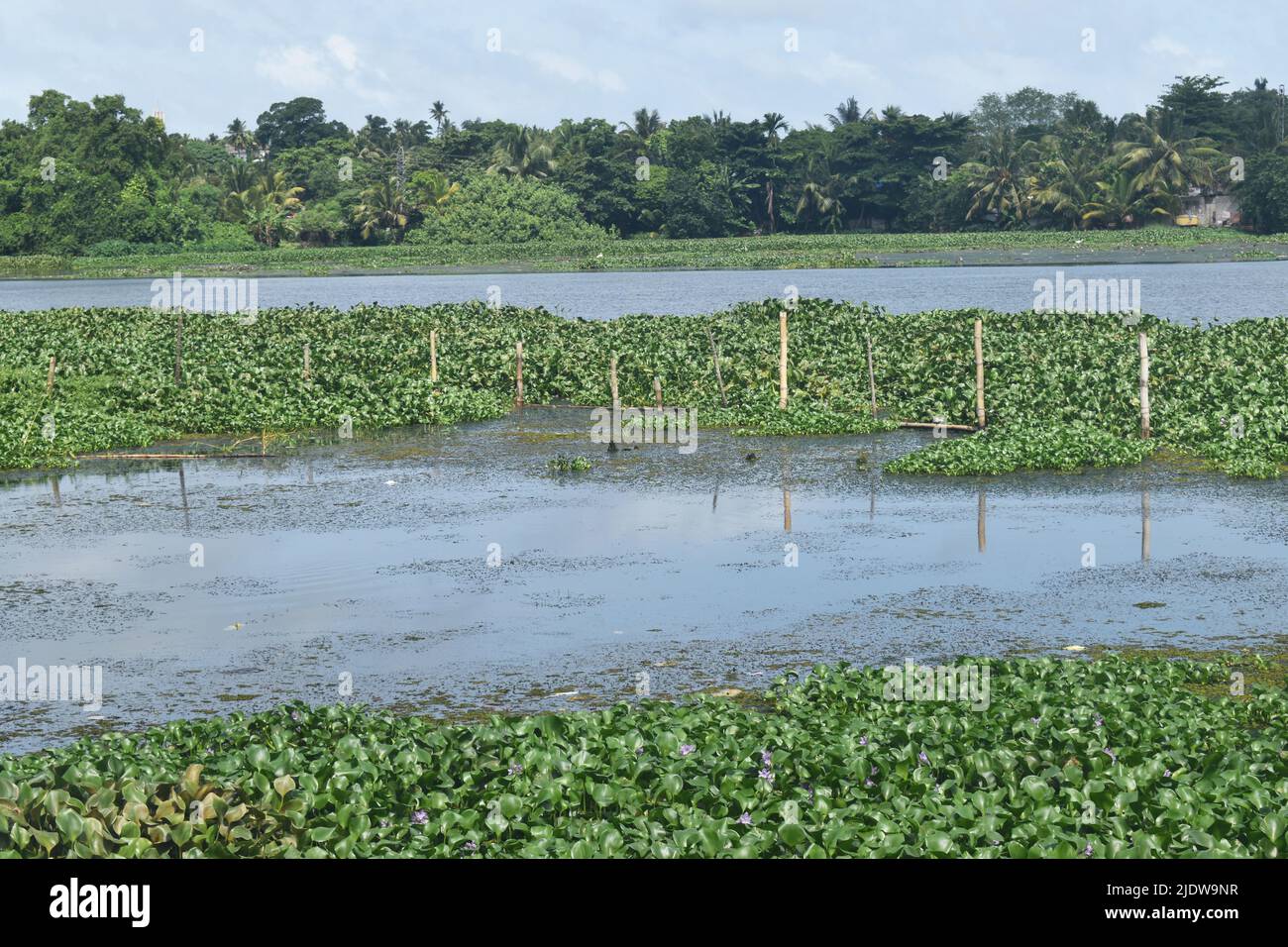 A view of the Bolgoda Lake. The Bolgoda Lake or Bolgoda River is a ...