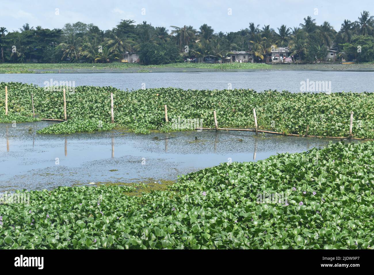 A view of the Bolgoda Lake. The Bolgoda Lake or Bolgoda River is a ...