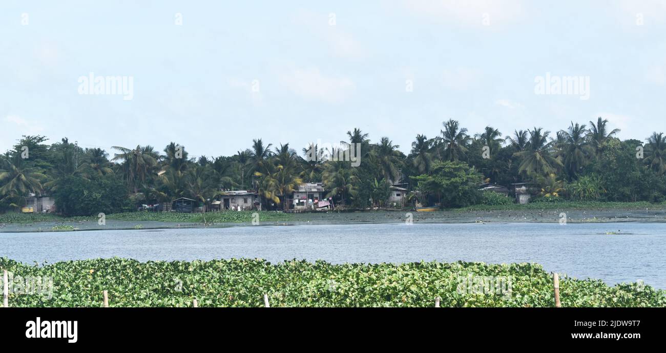 A view of the Bolgoda Lake. The Bolgoda Lake or Bolgoda River is a ...