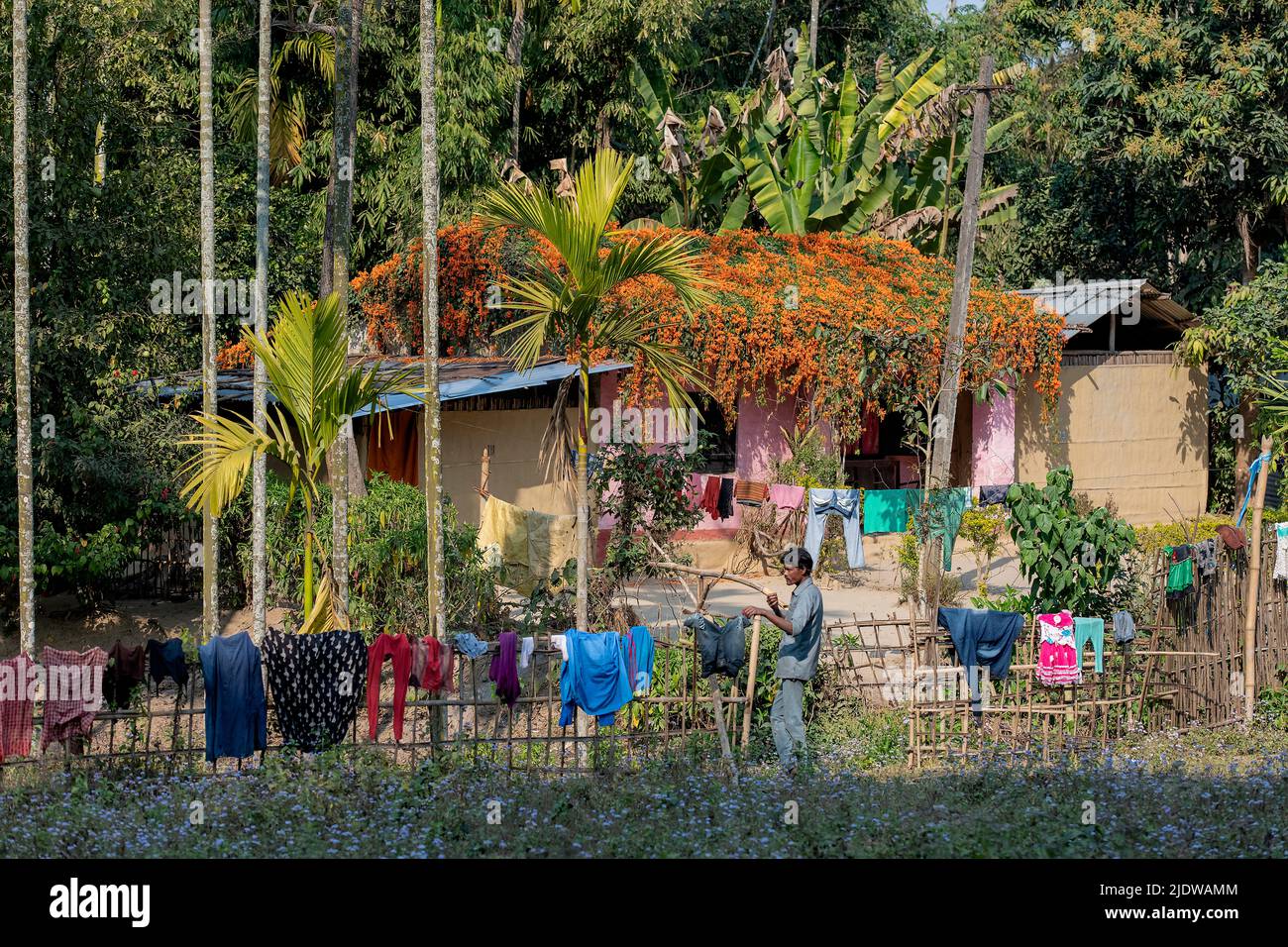 Local farm house in Assam, north-east india Stock Photo - Alamy