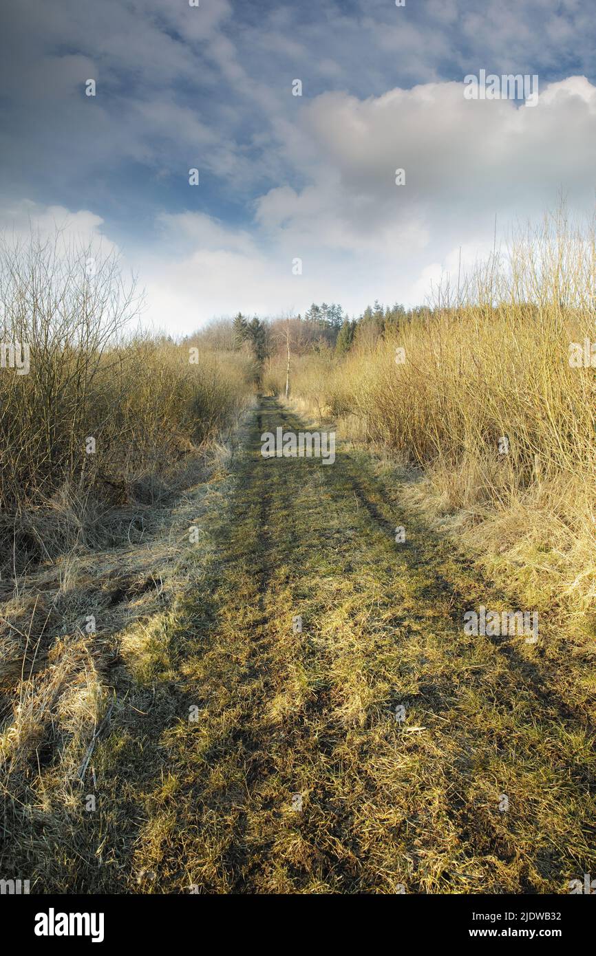 Wet land hi-res stock photography and images - Alamy