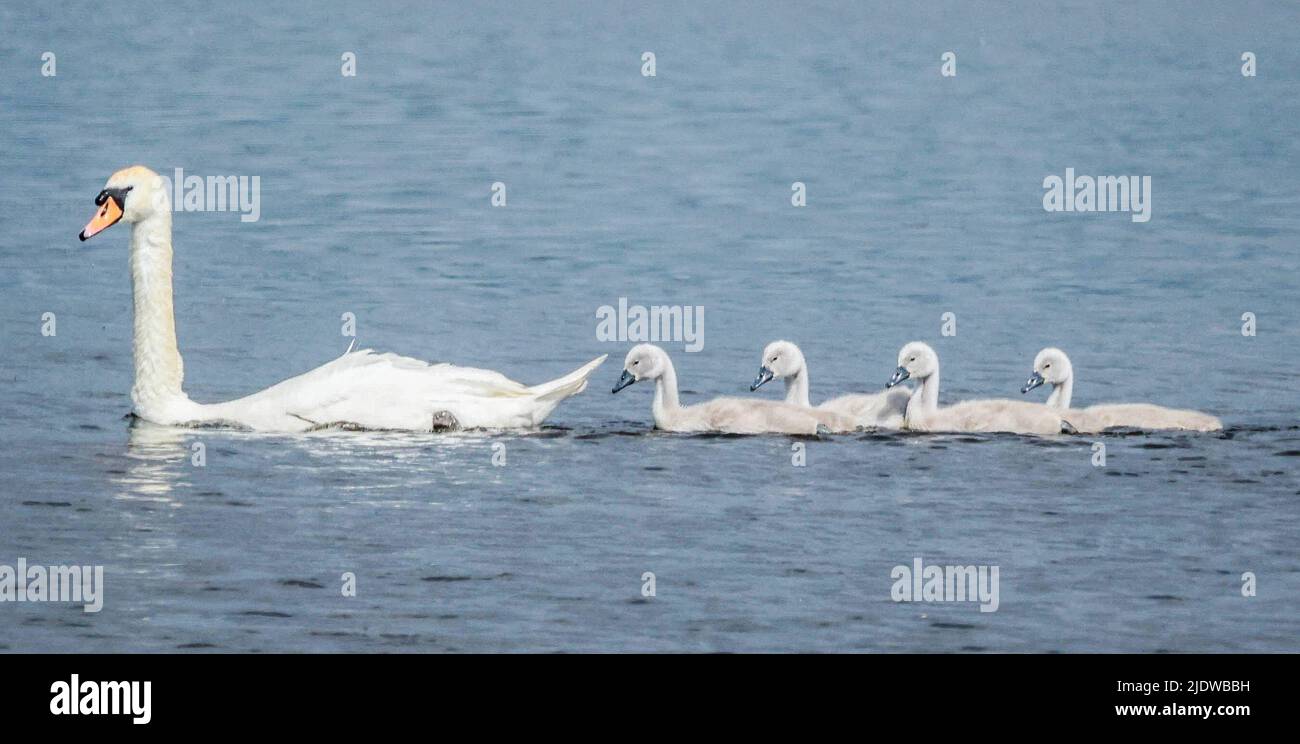 Portmore lough 2022 hi-res stock photography and images - Alamy