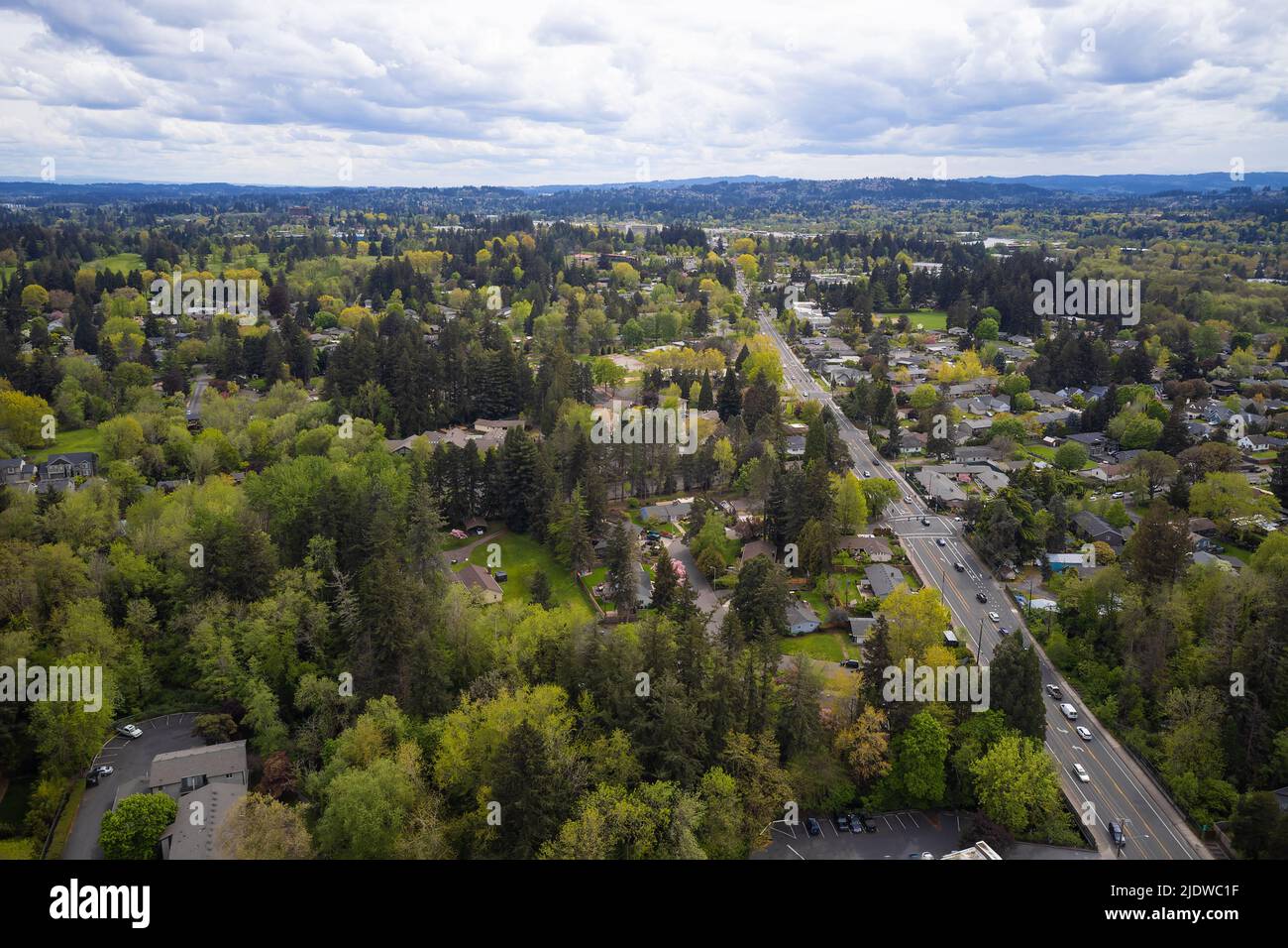 Top view of the green town, suburb. Lots of greenery, developed ...