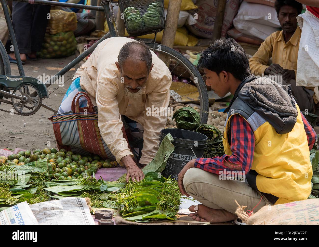 Tobakkblader hi-res stock photography and images - Alamy
