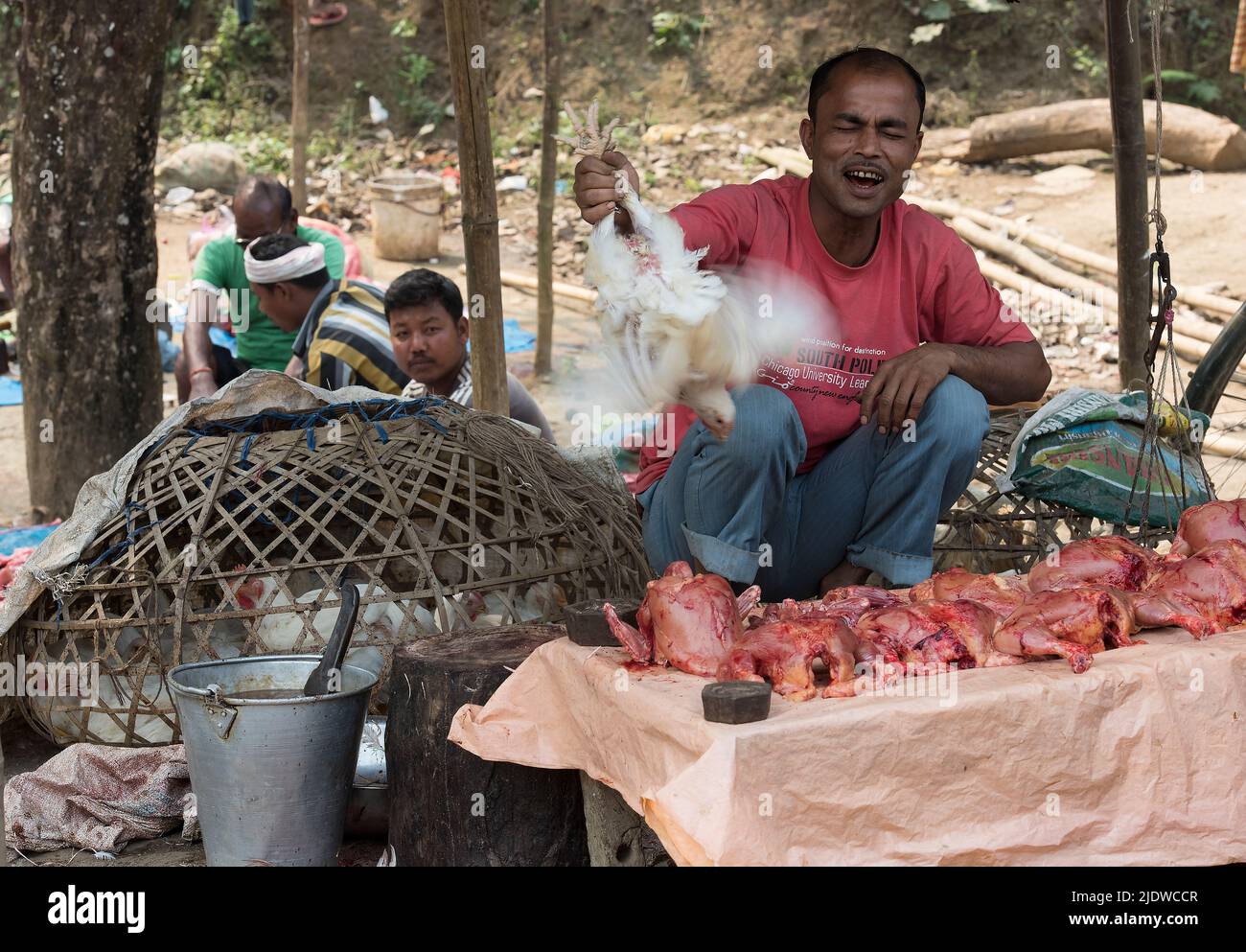 Preparing chickens for sale at a local marked in Assam, India Stock ...