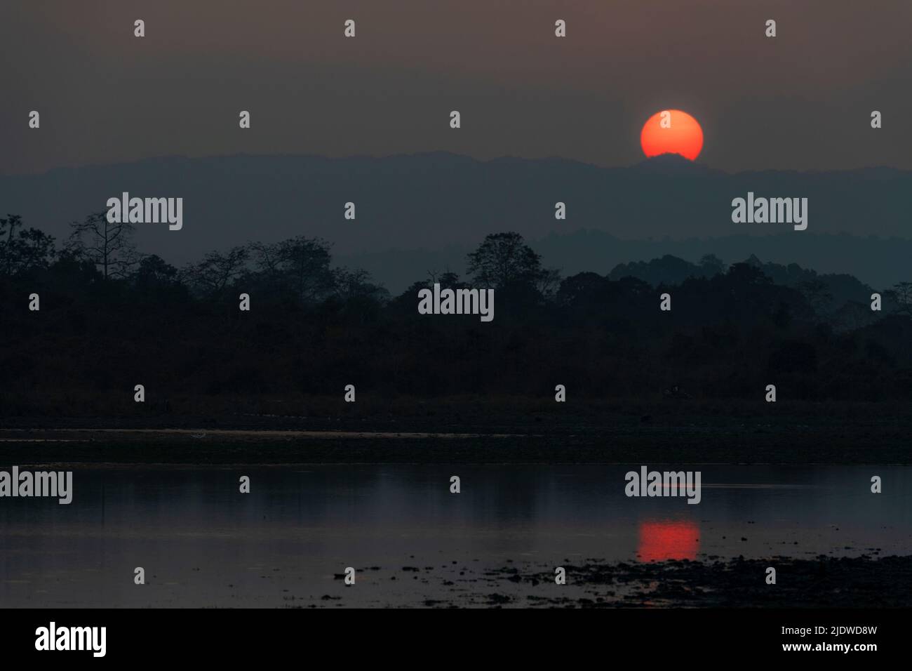 Sunset in Kaziranga National Park, Assam, north-east India in February ...