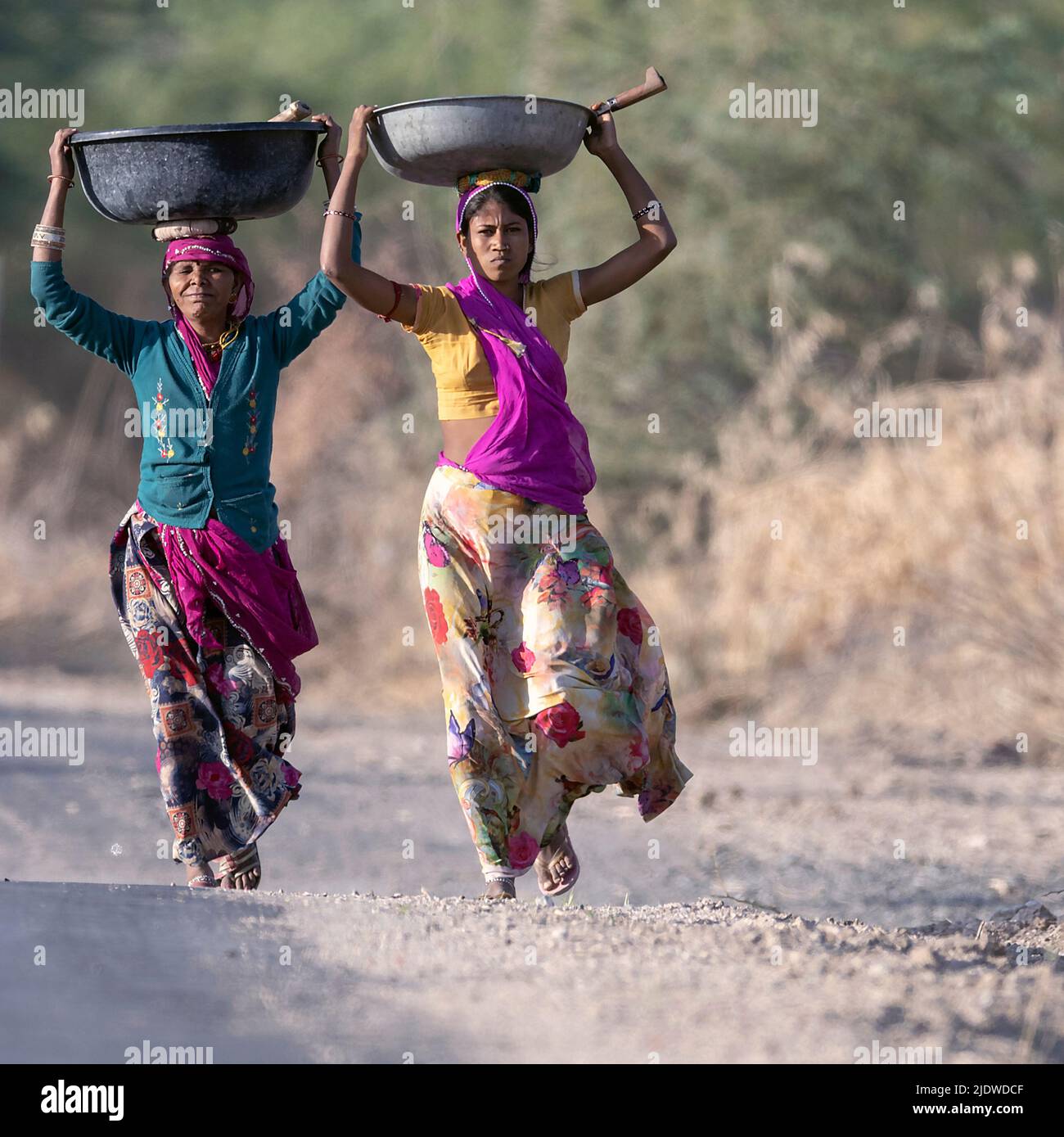 Women carrying on their heads in Rajasthan, India Stock Photo - Alamy