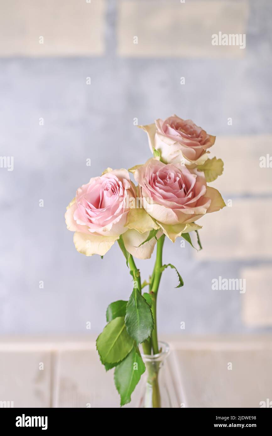 Bouquet of soft pink roses. Romantic pastel background. bouquet pastel ...