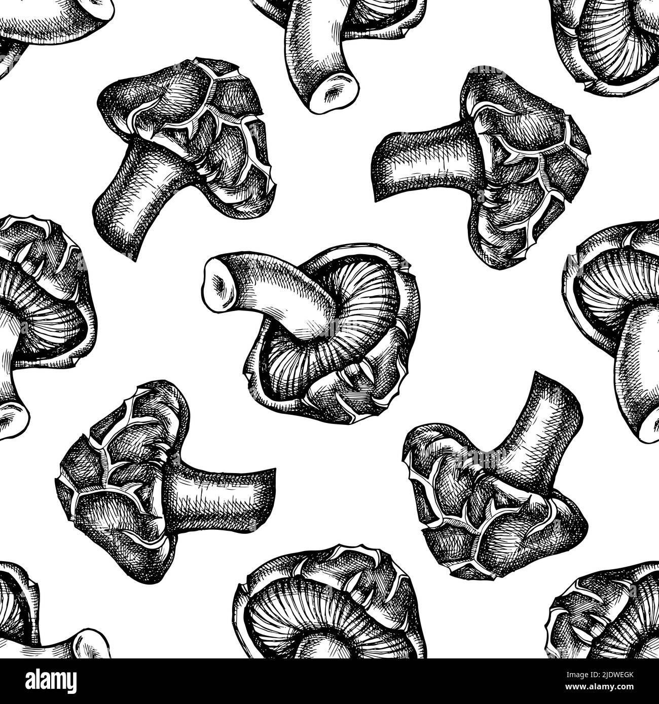 Shiitake fungus Black and White Stock Photos & Images - Alamy