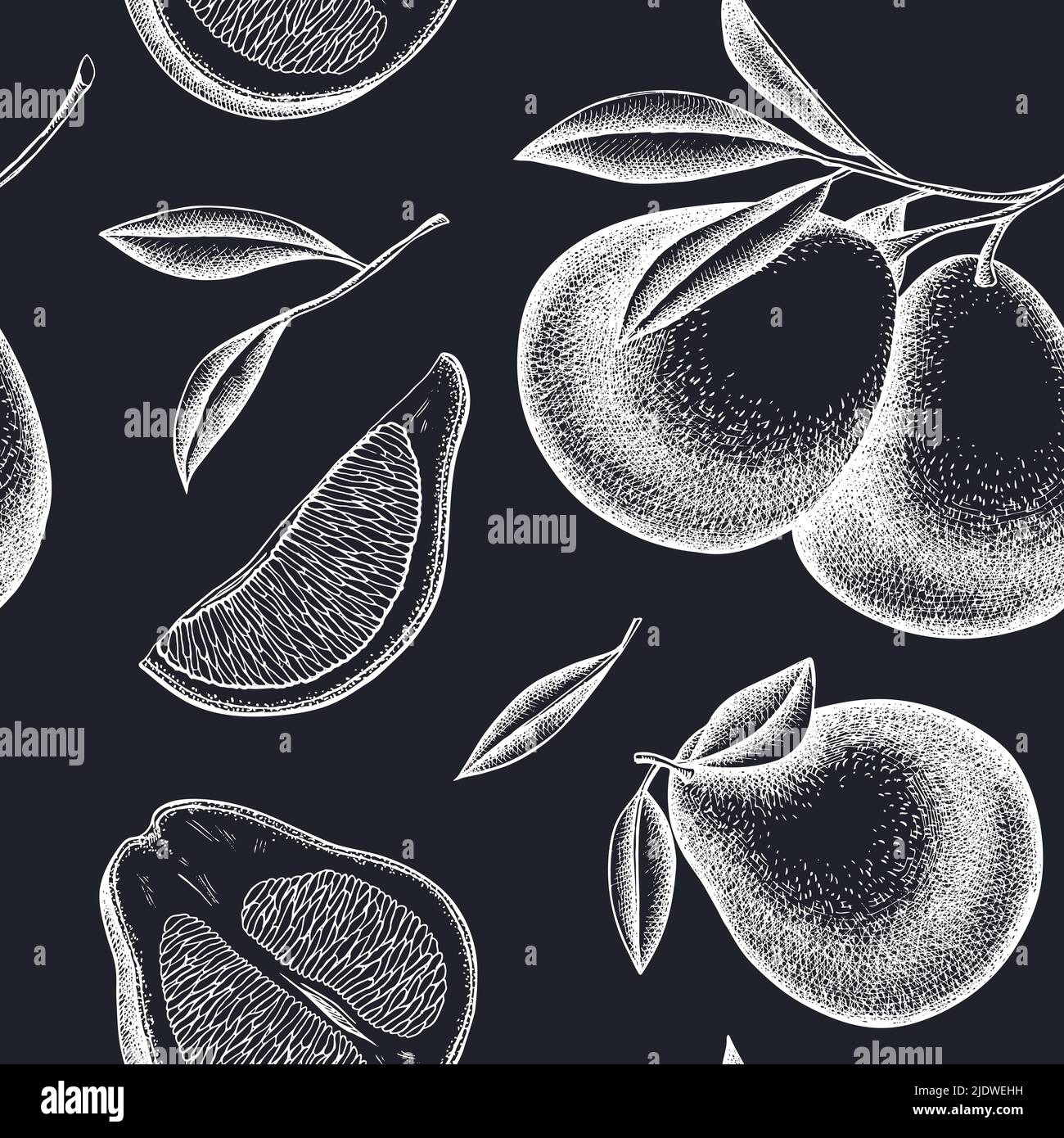 Citrus seamless pattern background design. Engraved style. Hand drawn pomelo Stock Vector Image ...