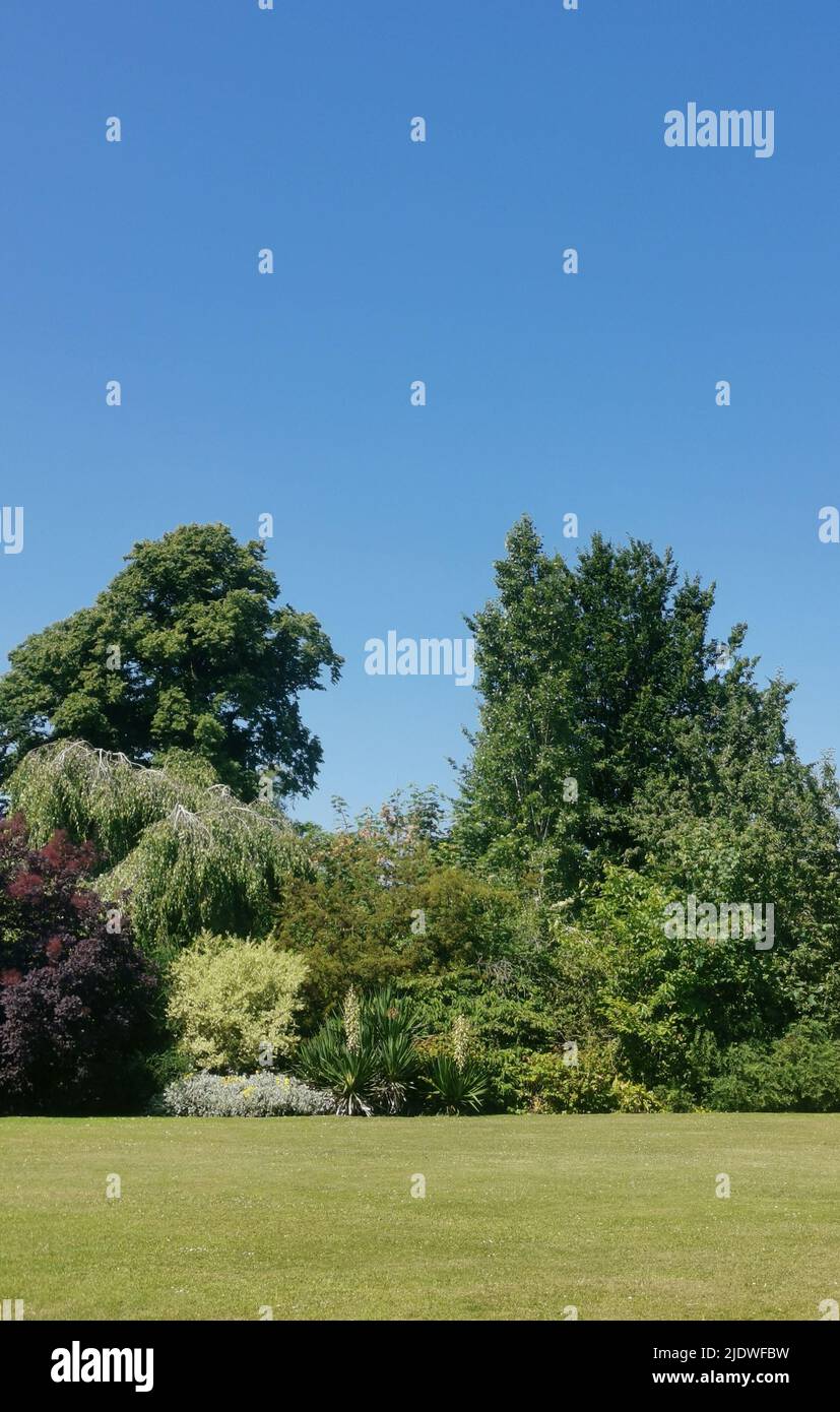 Assorted shrubs hi-res stock photography and images - Alamy