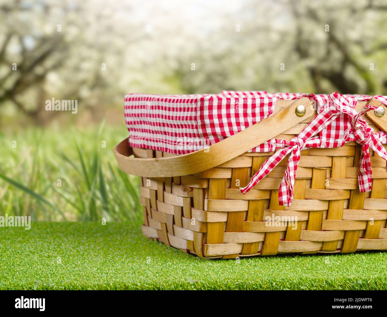 Summer outdoor recreation, picnic. Against the backdrop of beautiful ...