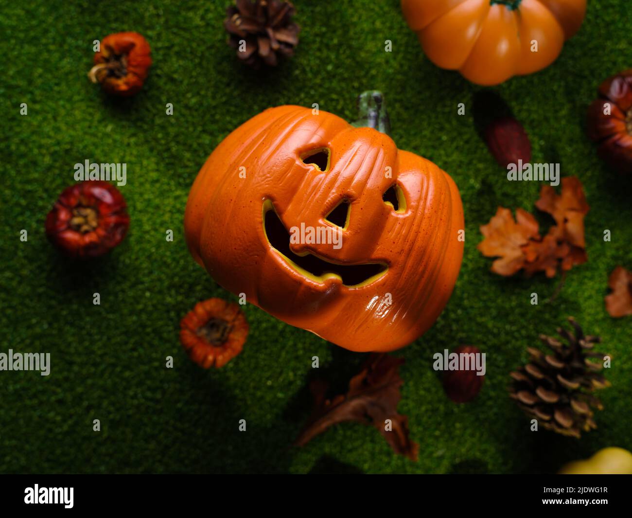 Creative composition for Halloween. On the green grass there is a round ...