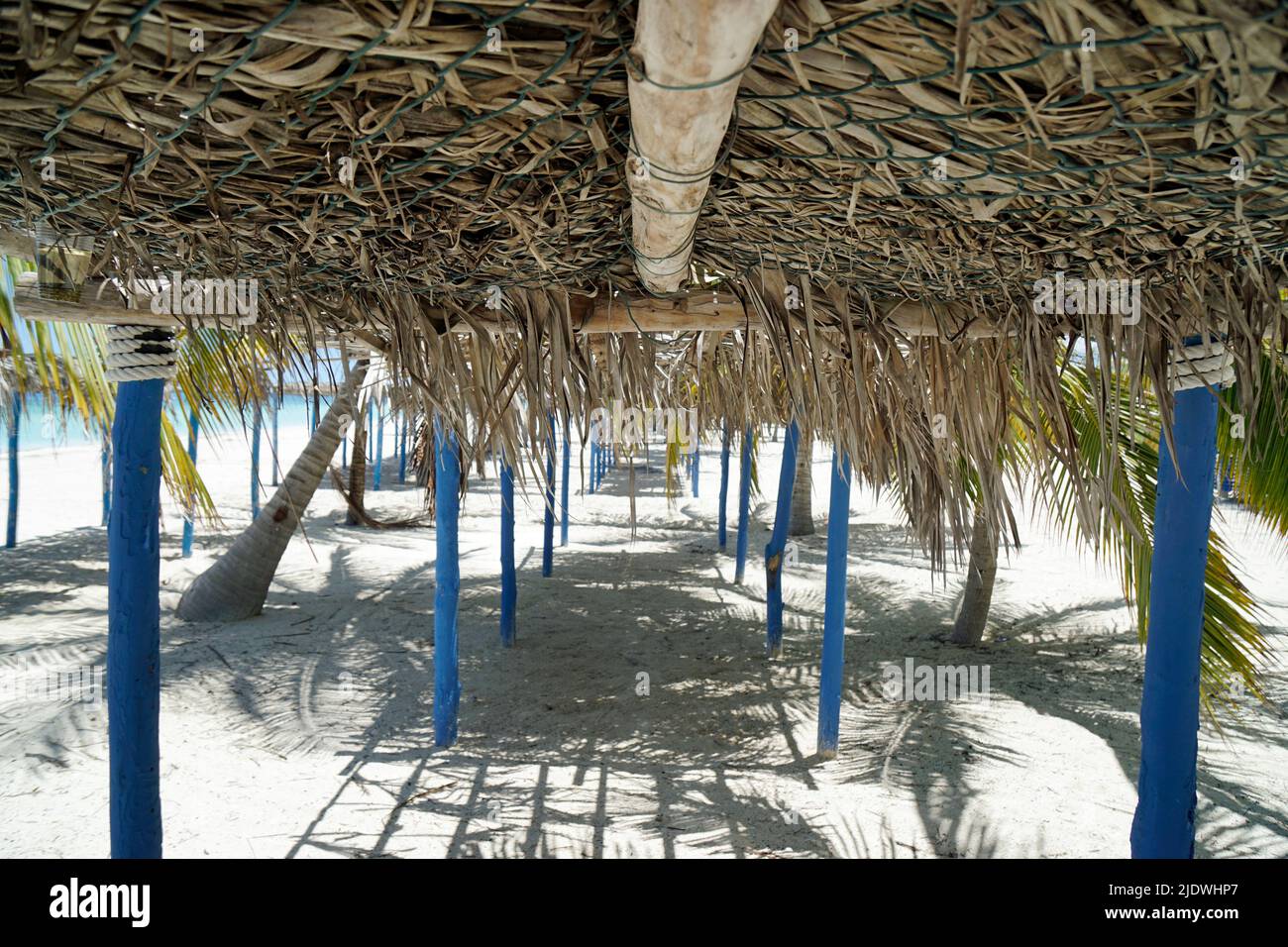 tropical beach in cuba Stock Photo - Alamy
