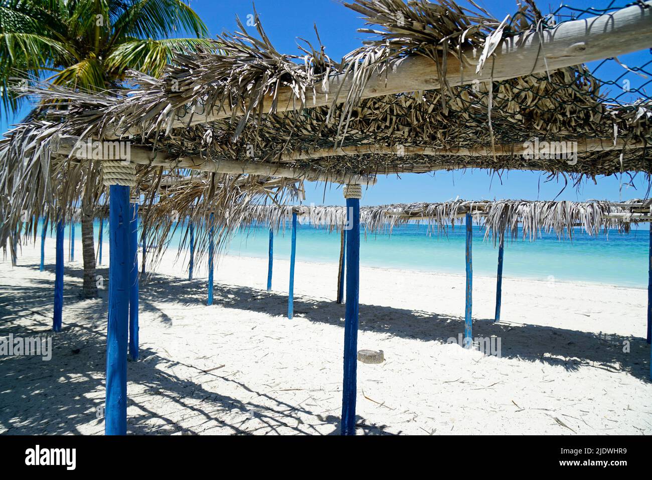 tropical beach in cuba Stock Photo - Alamy