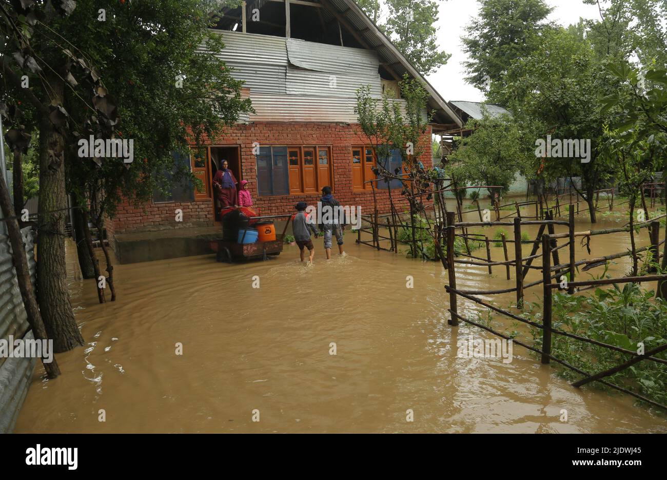 Srinagar, India. 22nd June, 2022. Children walk through flood water ...
